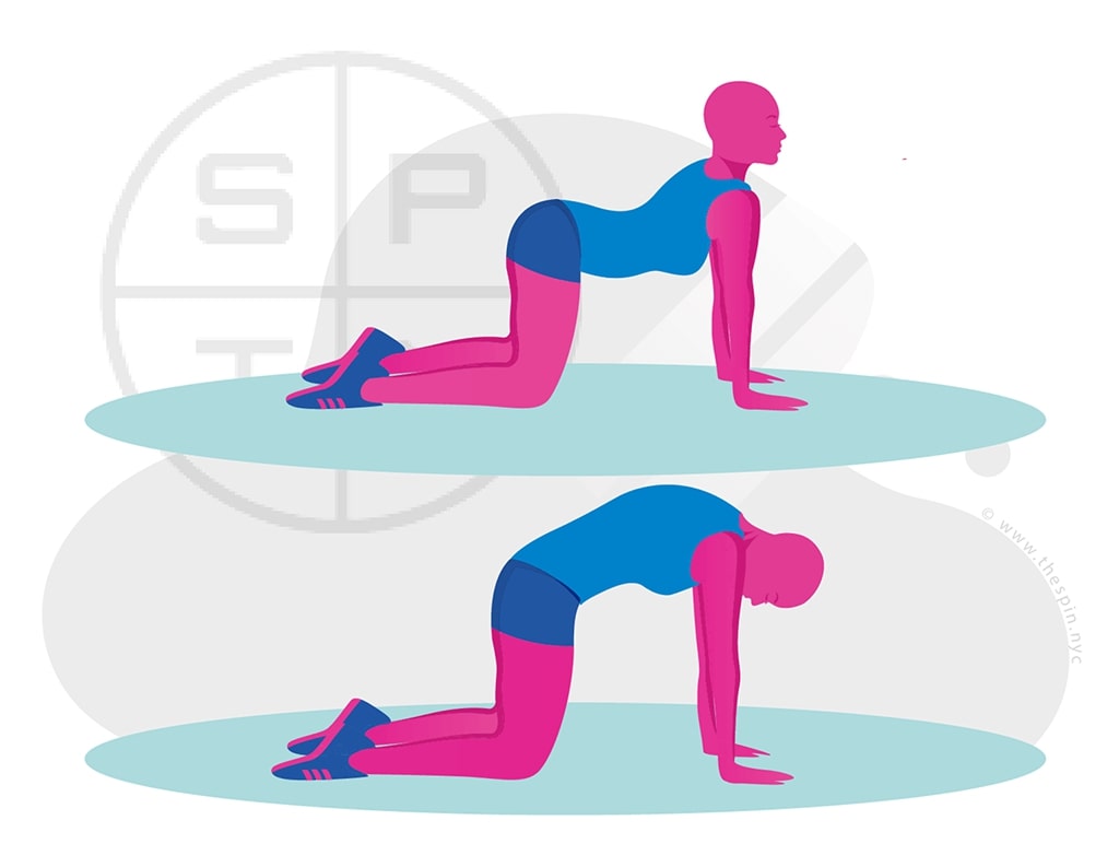 Lower and Upper Back Exercises - Sports Injury & Pain Management Clinic ...