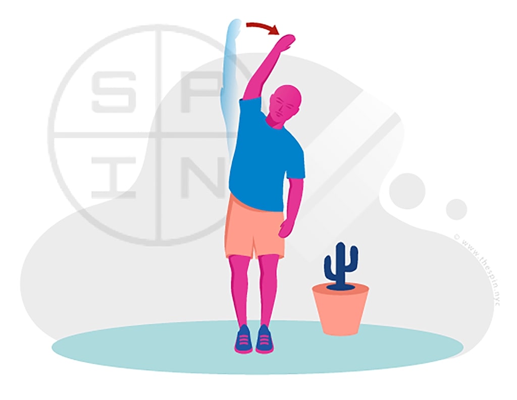 Lower and Upper Back Exercises - Sports Injury & Pain Management Clinic ...