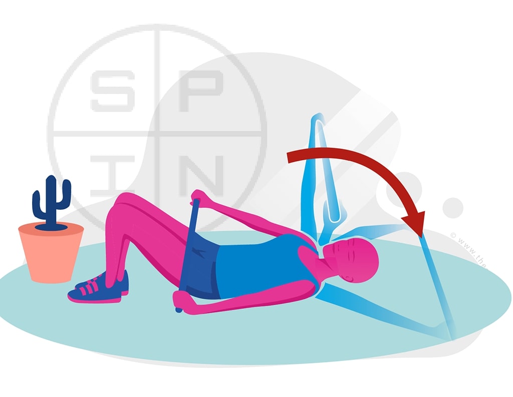 Side Lying Shoulder Flexion